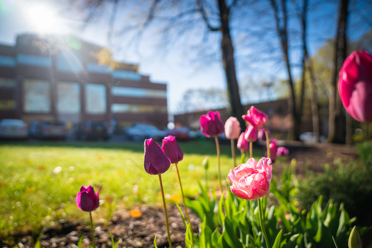 Horticulture Technology - Forsyth Tech Community College Horticulture Technology - Forsyth Tech Community College