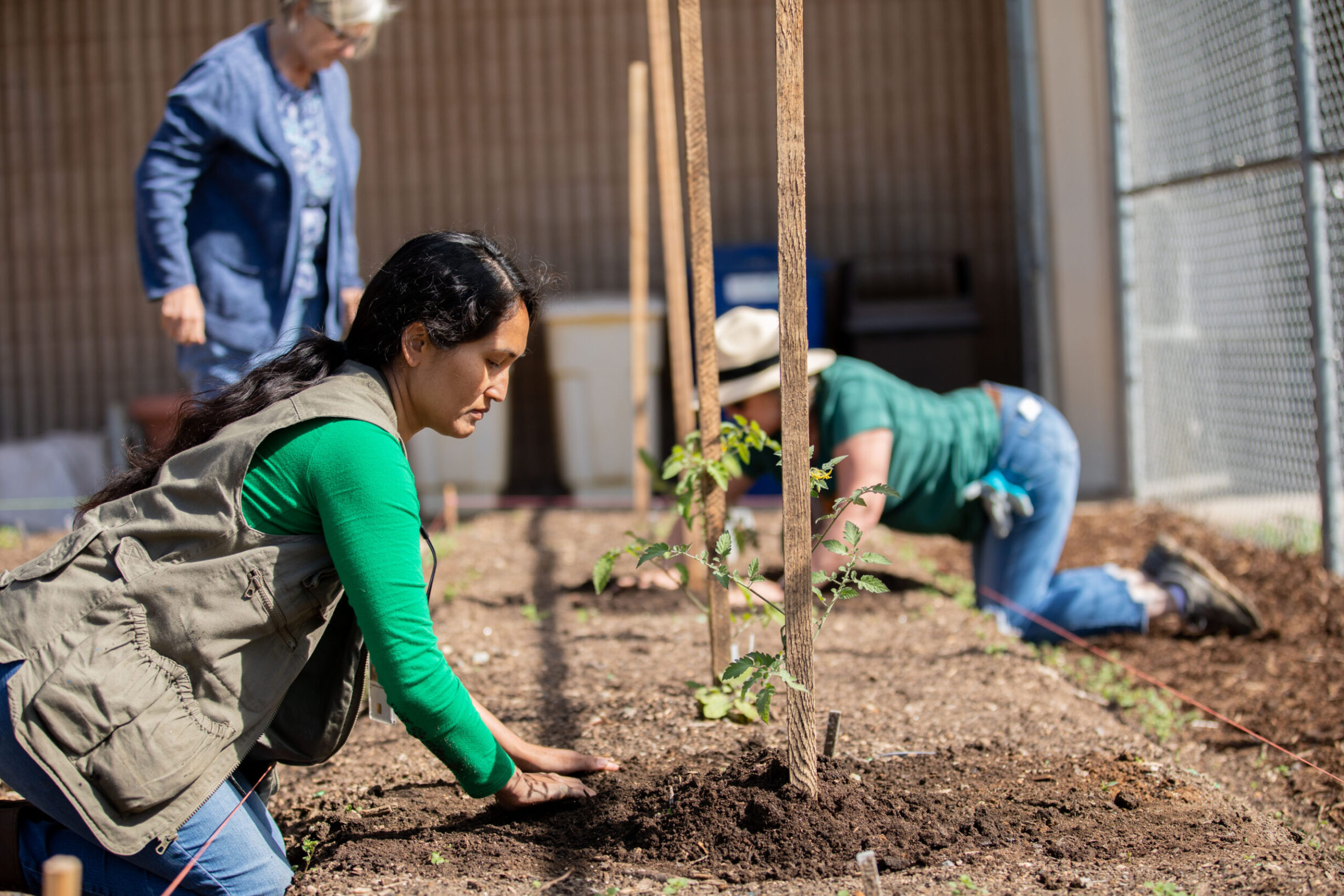 Horticulture Technology - Forsyth Tech Community College Horticulture Technology - Forsyth Tech Community College